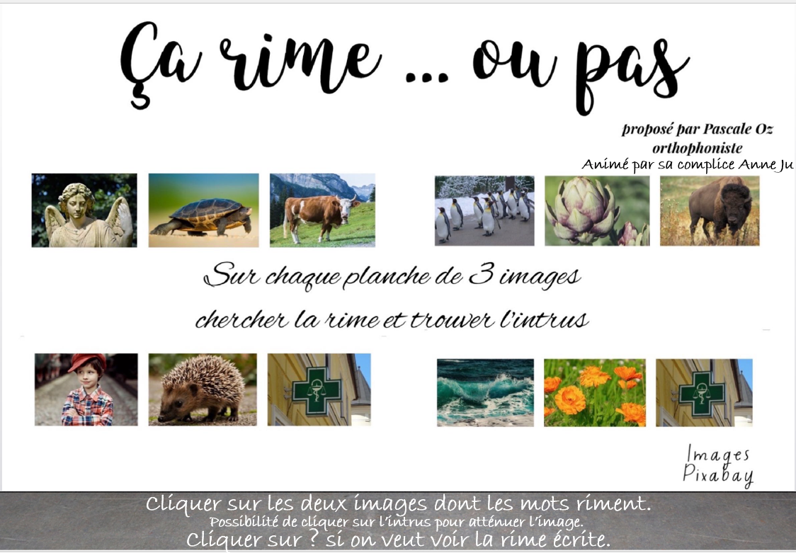 Ça rime ou pas - Pascale – Mon Marché Ortho