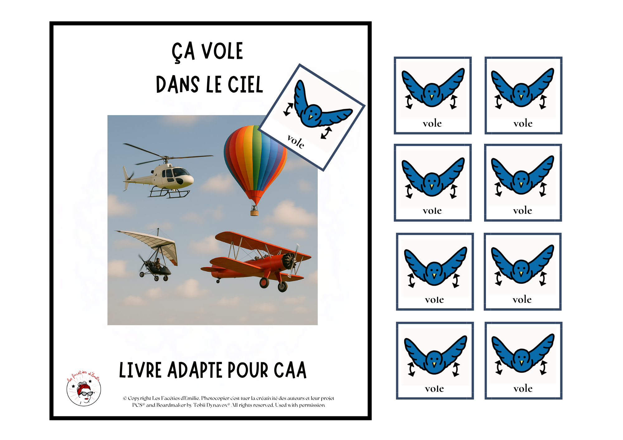 Livre Adapté en CAA, Verbe Voler /moyen de transport aérien – Mon ...